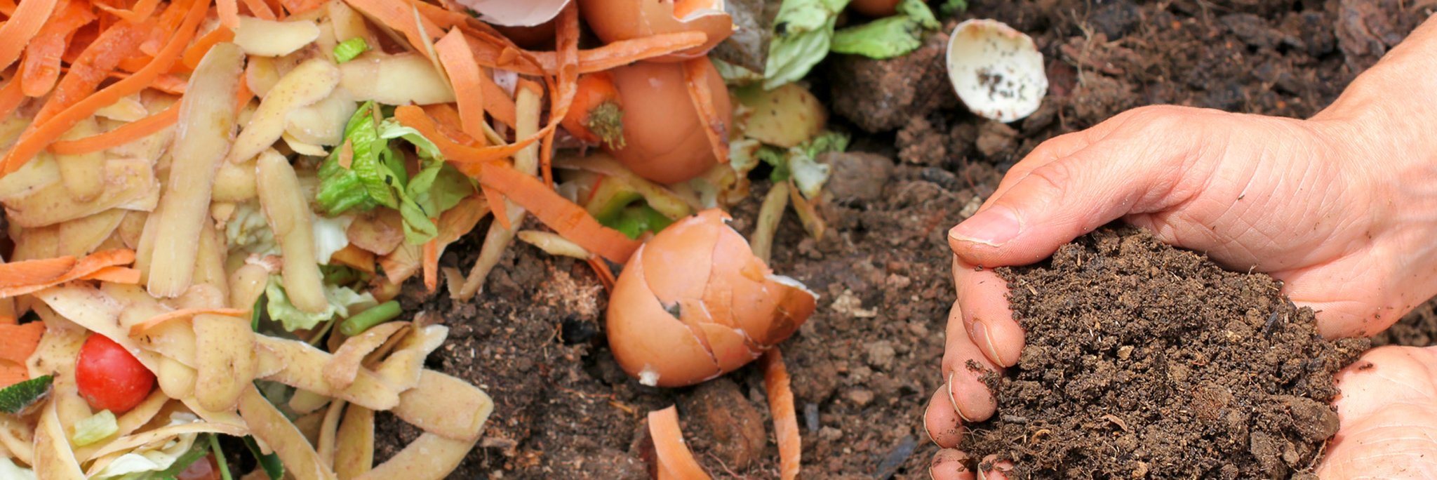 Bioabfall | Abfallzweckverband Rhein-Mosel-Eifel